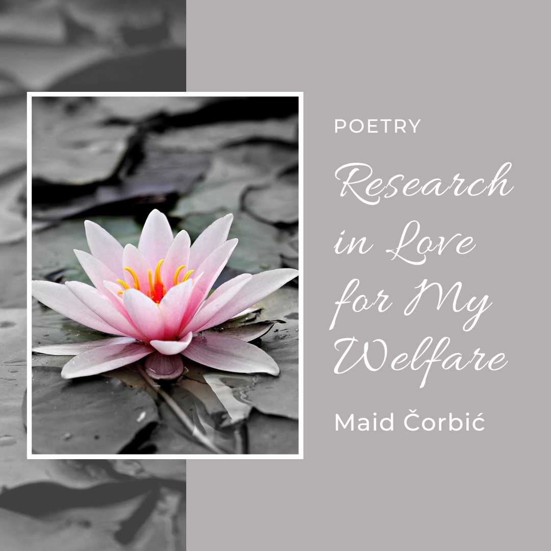 The MockingOwl Roost: Poetry - Research in Love for My Welfare