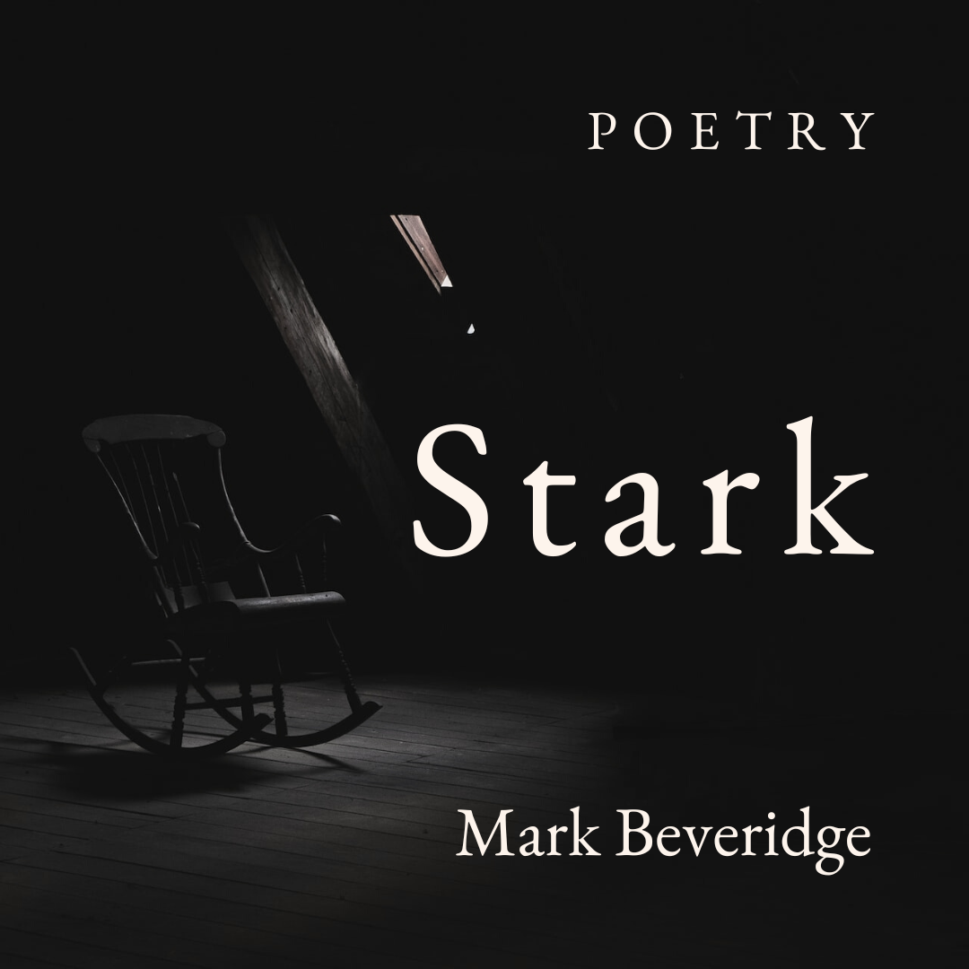 Light and Play - Stark: A Poem