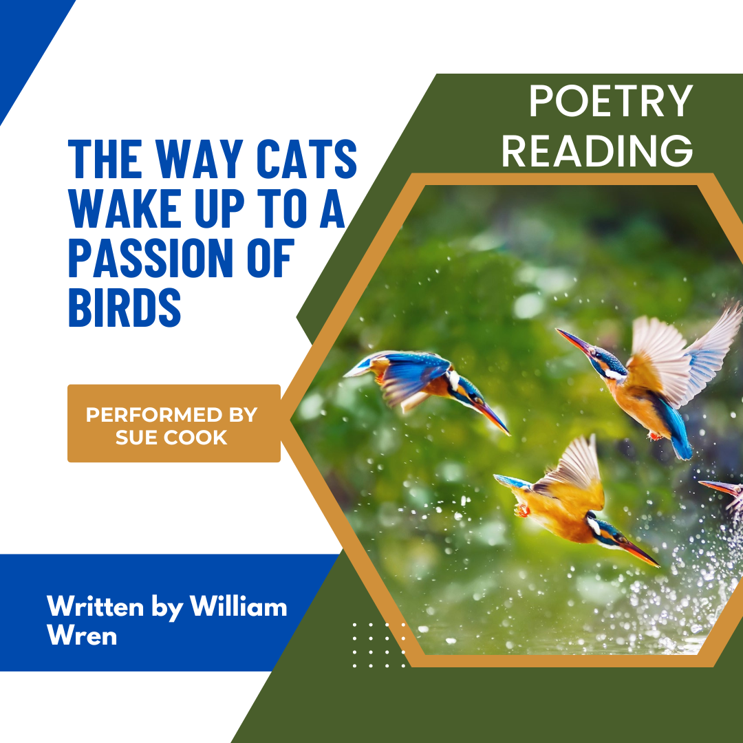 We Remember: The Way Cats Wake Up to a Passion of Birds