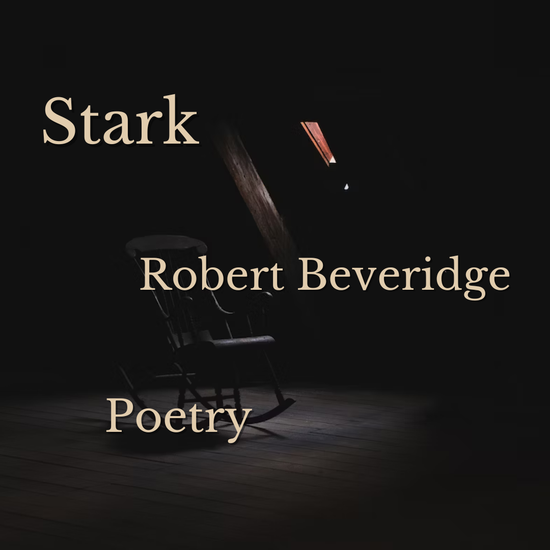 Light and Play - Stark: A Poem