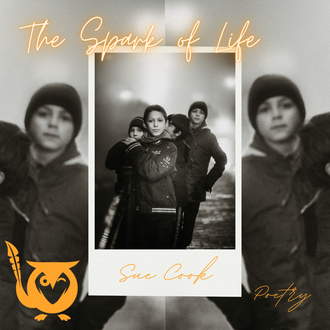 Caught in the Crossfire, the Spark of Life, a Poem