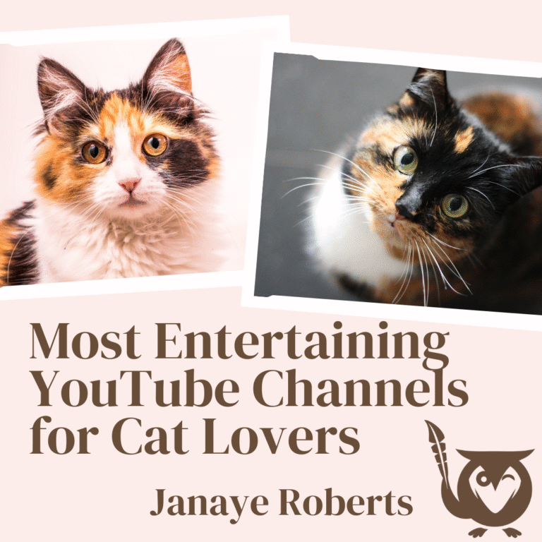 Top Cat Videos for All You Feline-Lovers