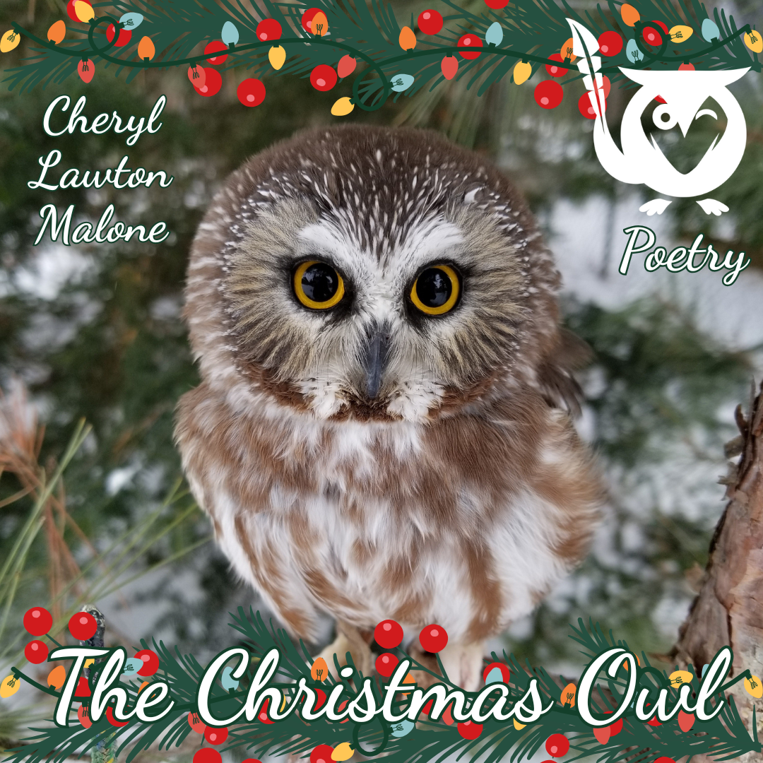Saw-whet and Woods — The Christmas Owl, a Narrative Poem