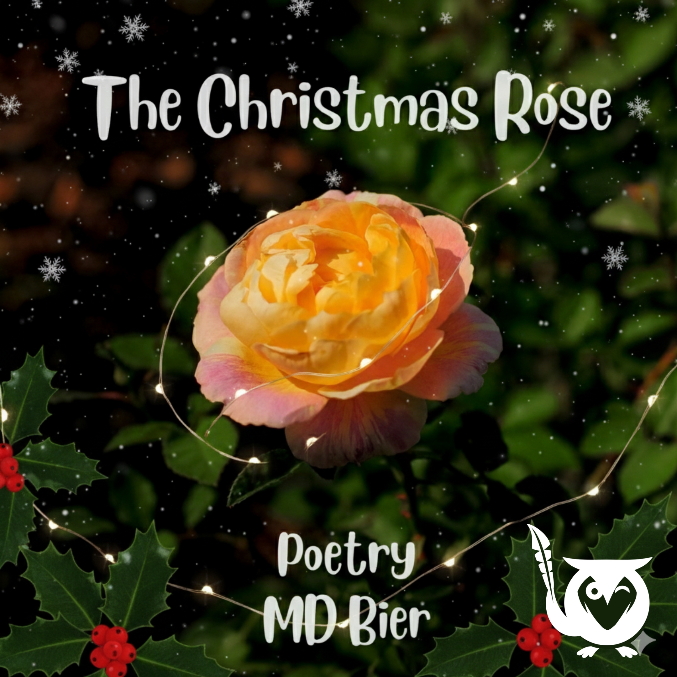 The Christmas Rose — A Holiday Poem