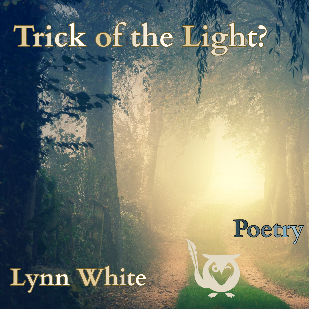 Tricks and Eclipses: Trick of the Light? A Poem