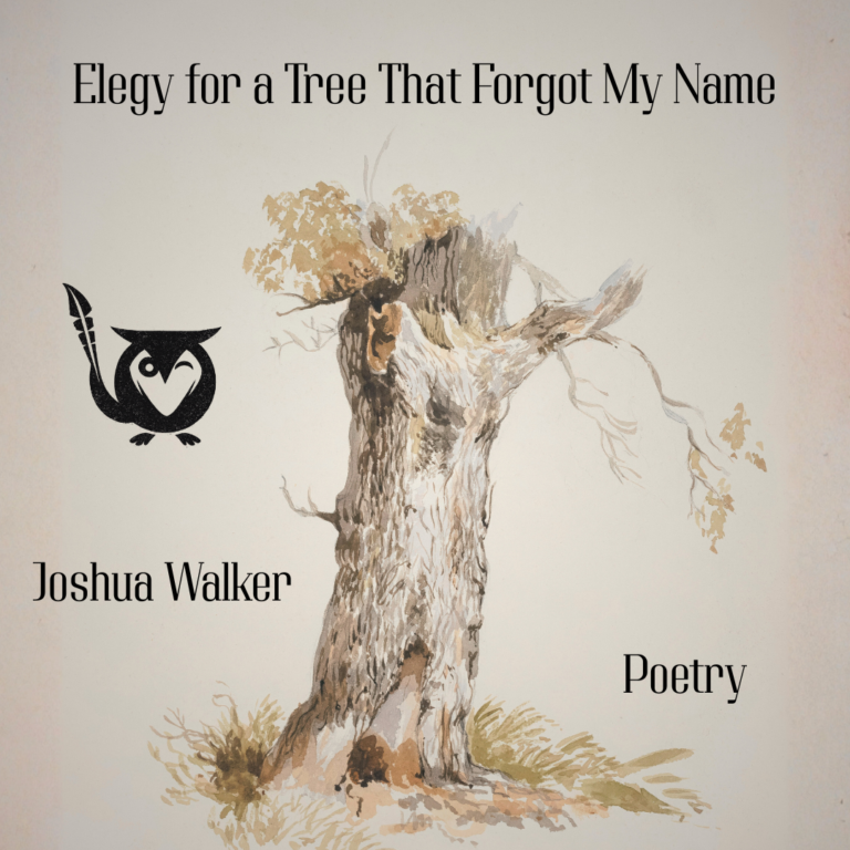 Poem of Every Spring; Elegy For a Tree That Forgot My Name